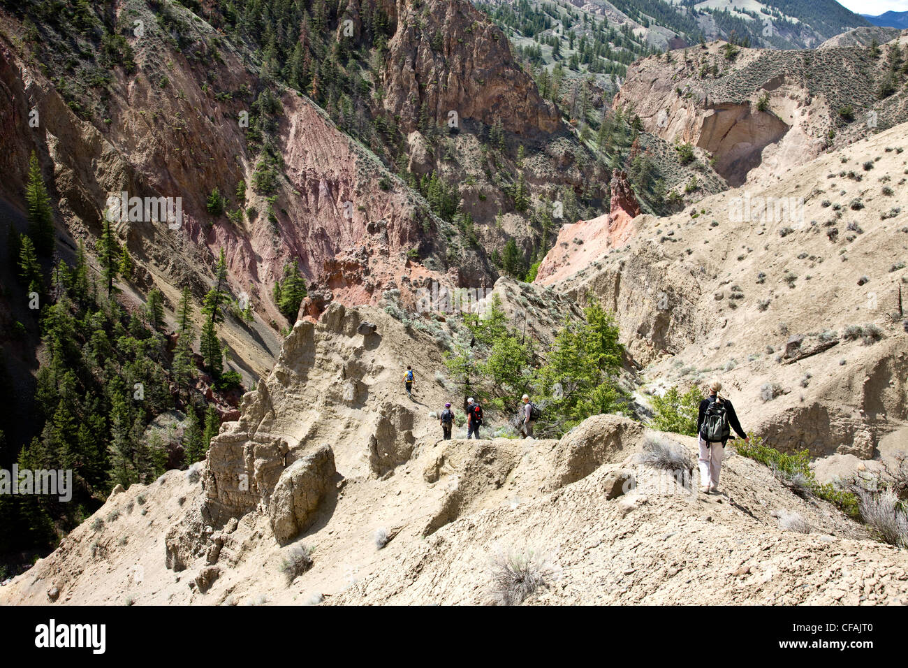 Hiking the Churn Creek Valley in the Churn Creek Protected Area ...