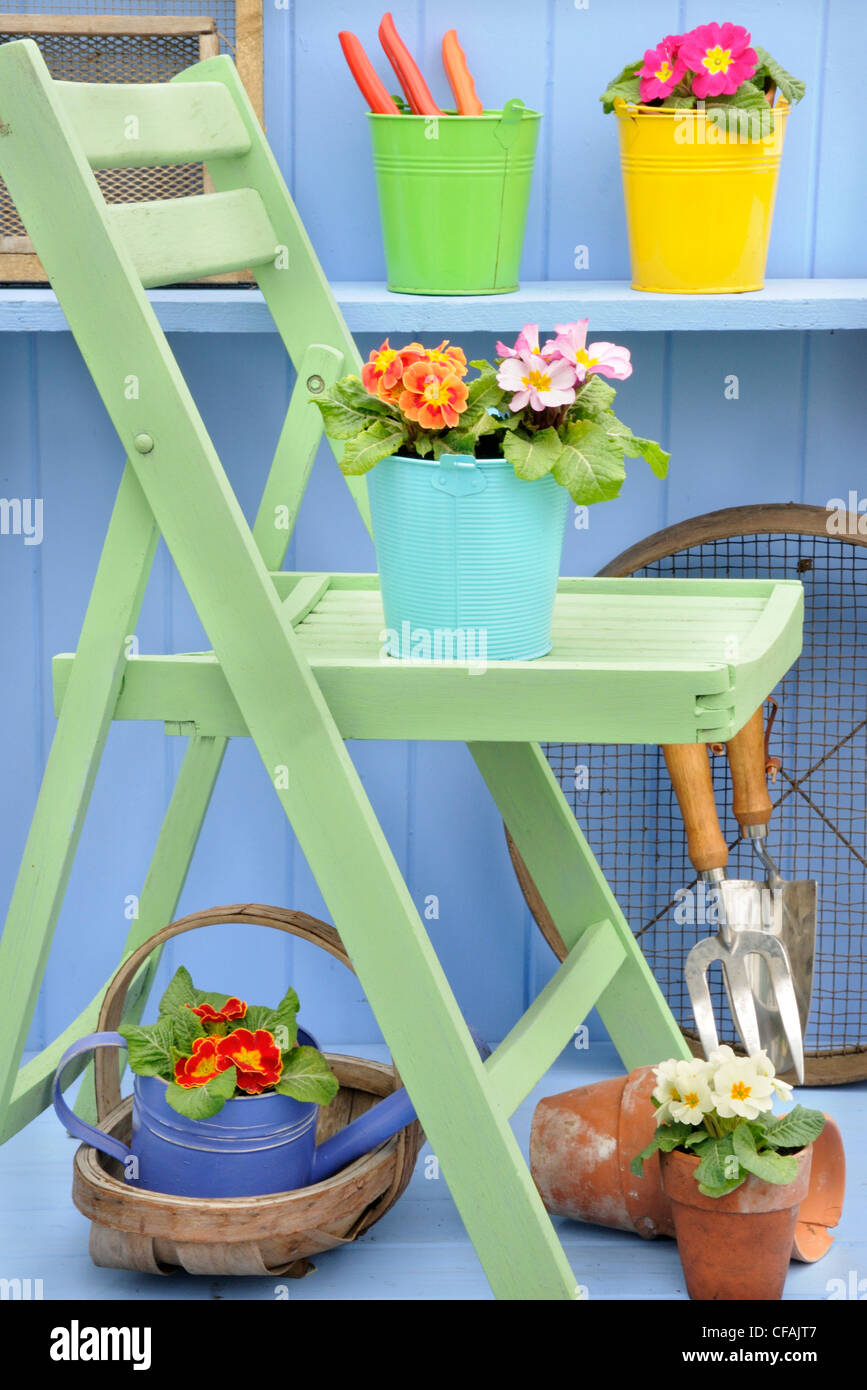 Rustic springtime garden scene with garden chair, Primroses in ...