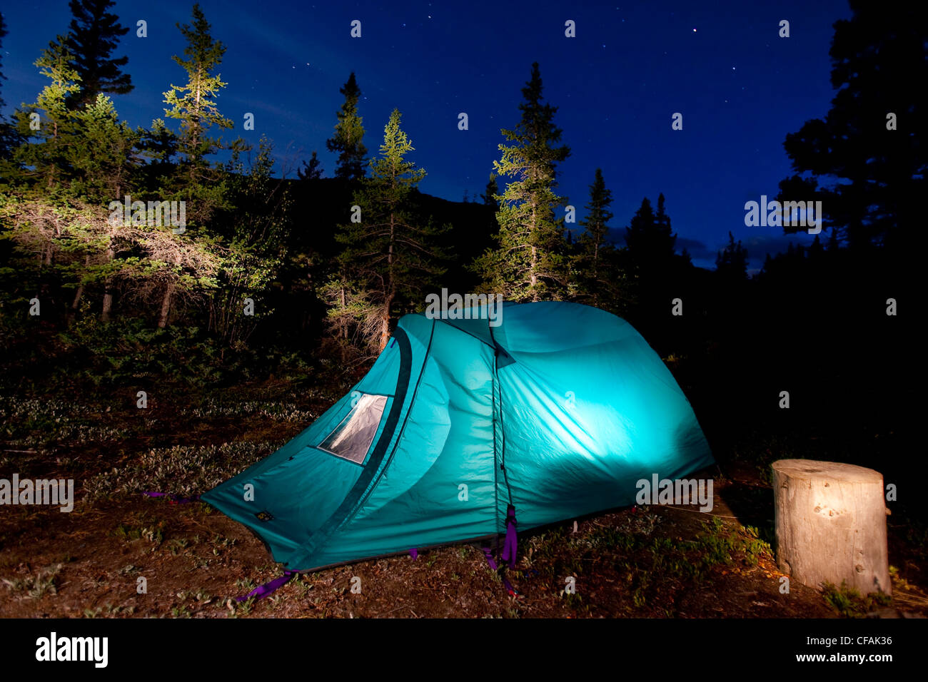Tent at night among trees in Jasper National Park, Alberta, Canada ...