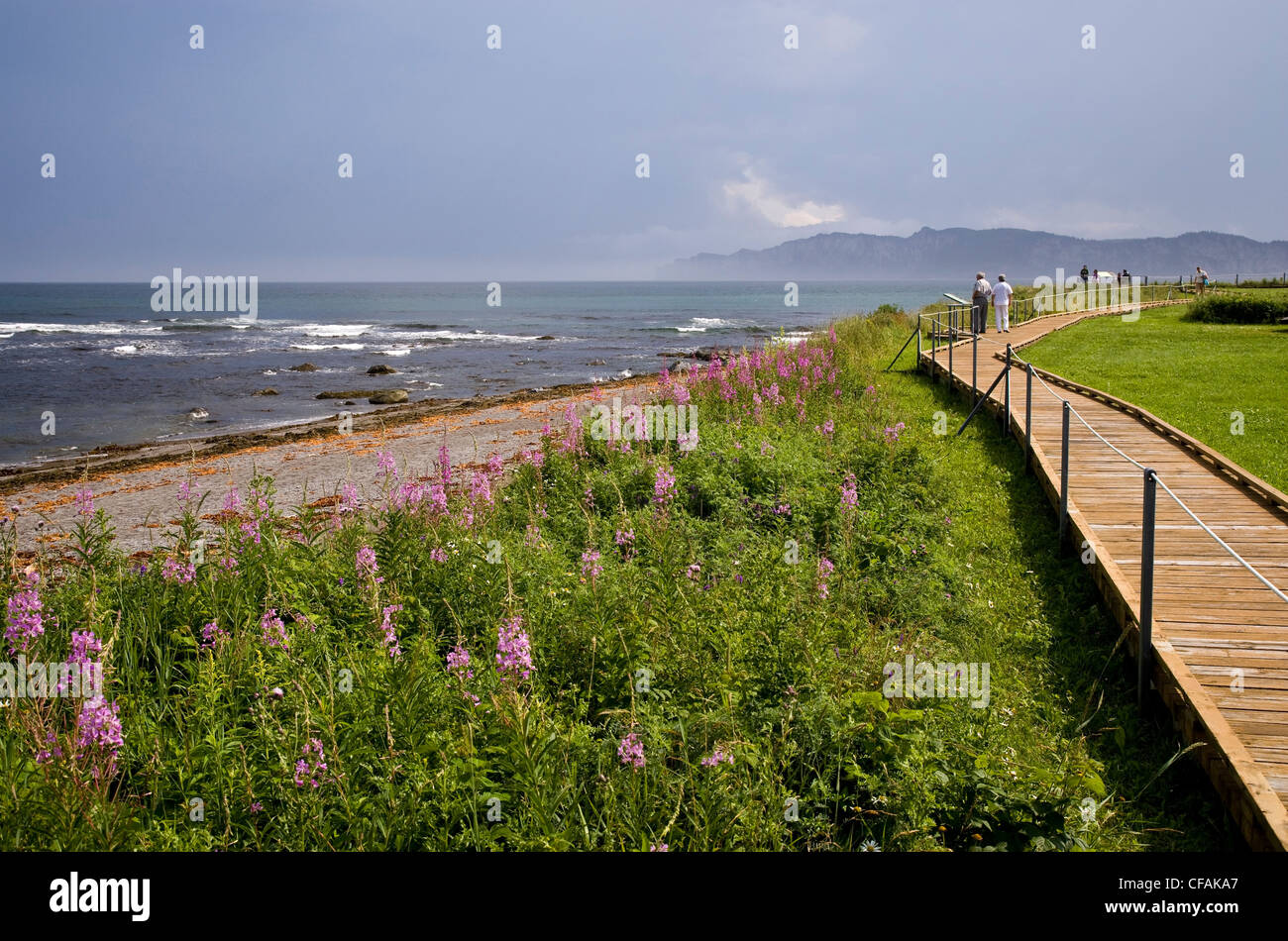 View along "Prelude a Forillon" trail, Forillon National Park, Gaspe ...