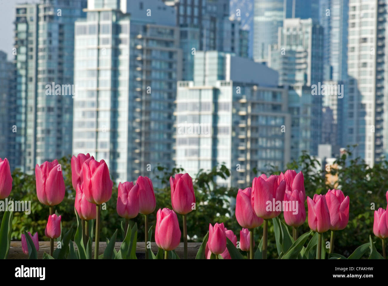 Choklit hi-res stock photography and images - Alamy