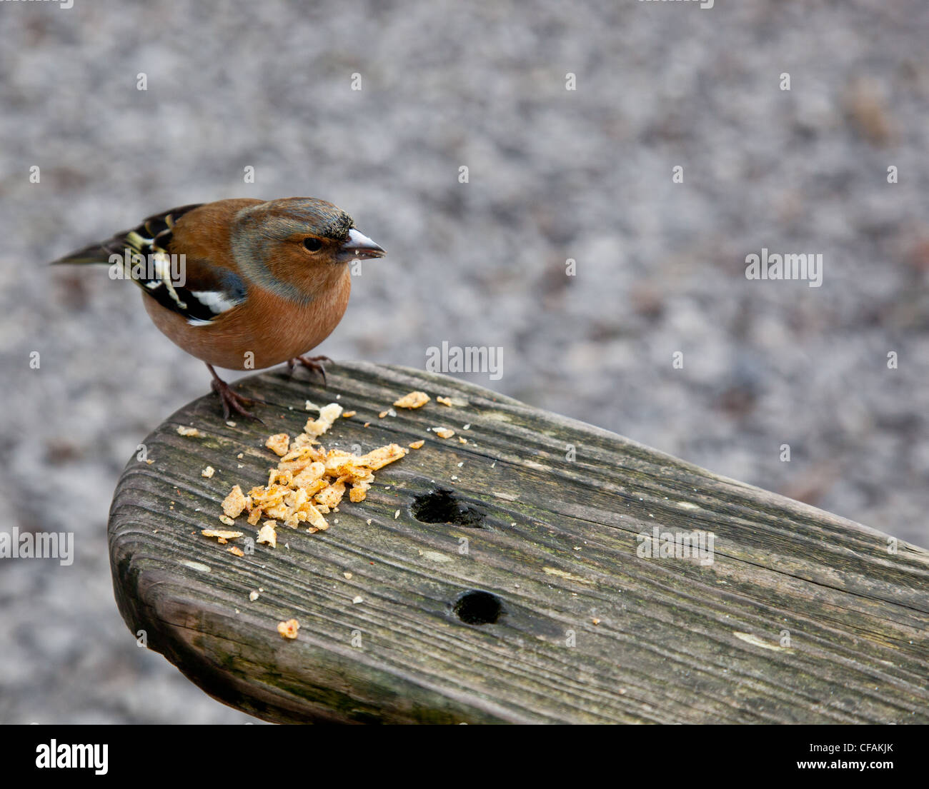 Watendlath house hi-res stock photography and images - Alamy