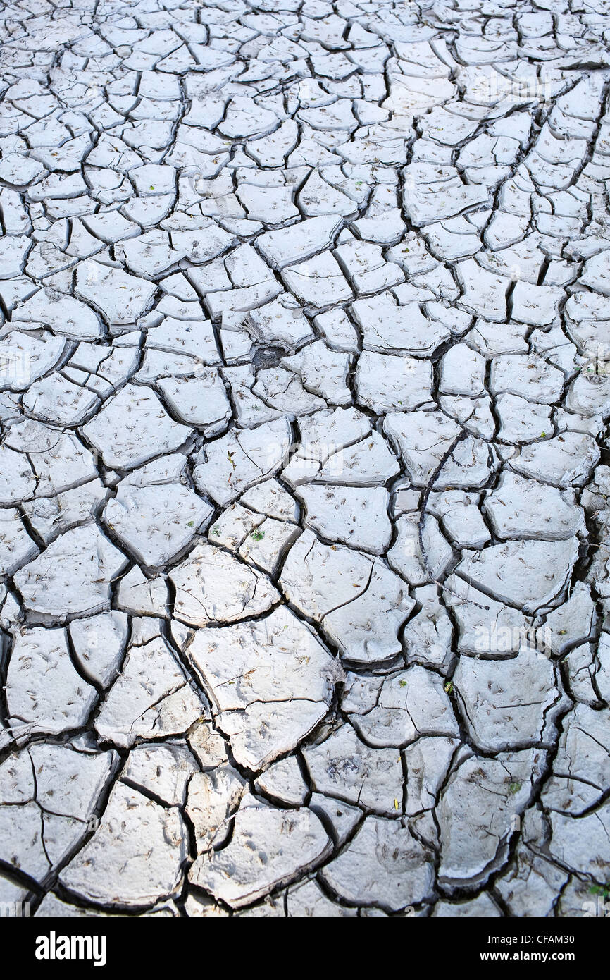 Mud Bank Stock Photos & Mud Bank Stock Images - Alamy