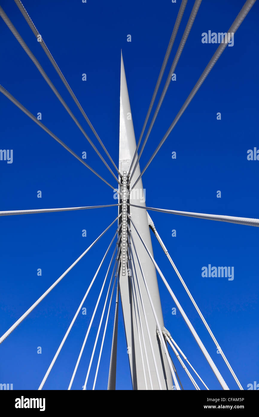 Support cables of the Esplanade Riel Bridge. A cable stay bridge in ...