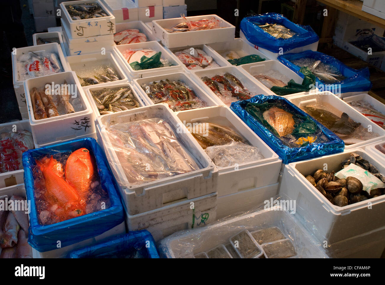 Tsukiji Fish Market, Honshu , Japan Stock Photo - Alamy