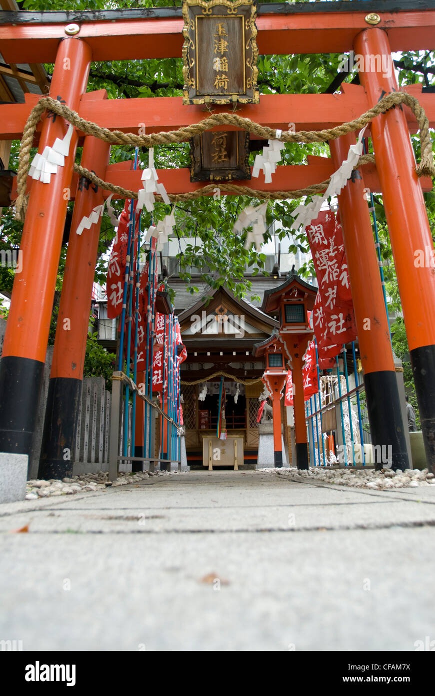 Torii leading to a shrine in Osaka, Japan Stock Photo - Alamy