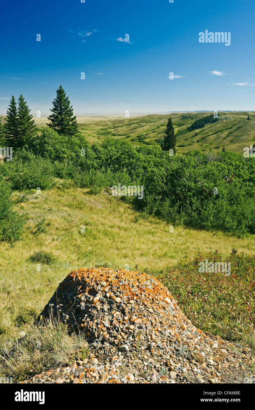 Conglomerate Cliffs lookout,Cypress Hills Interprovincial Park ...