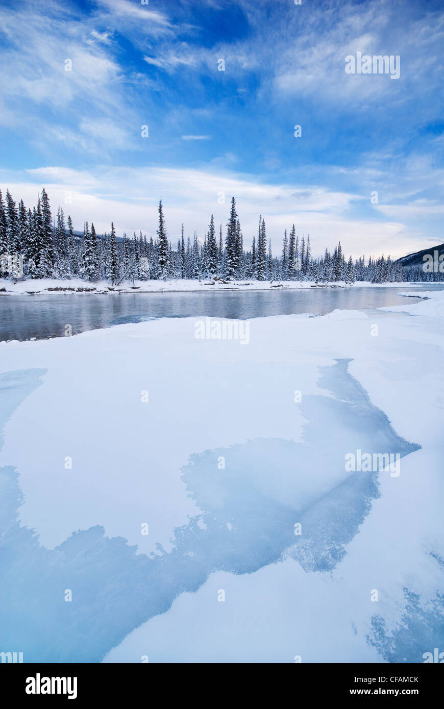 Bow River, Castle Junction, Banff National Park, Alberta, Canada Stock ...