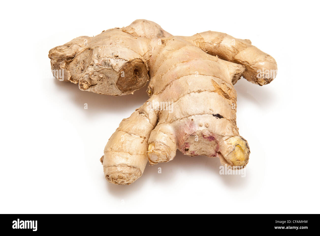 Root Ginger (Zingiber officinale) isolated on a white studio background ...