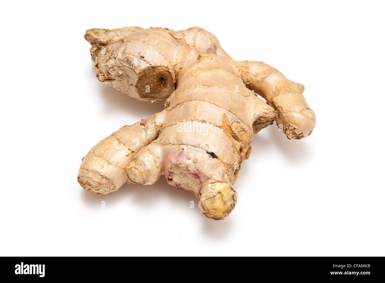 Root Ginger (Zingiber officinale) isolated on a white studio background ...