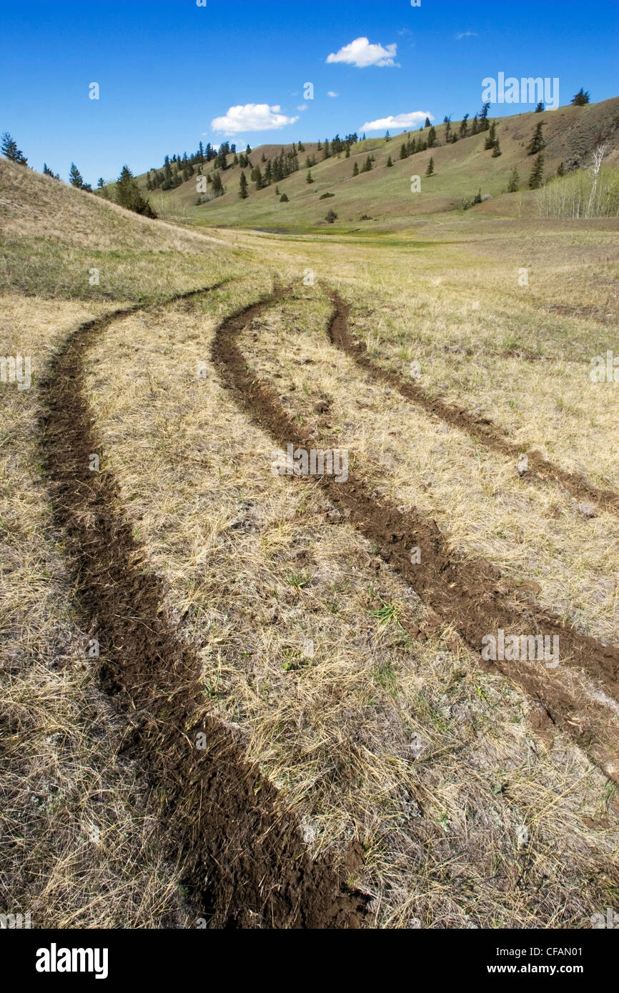 Sheep tracks hi-res stock photography and images - Alamy