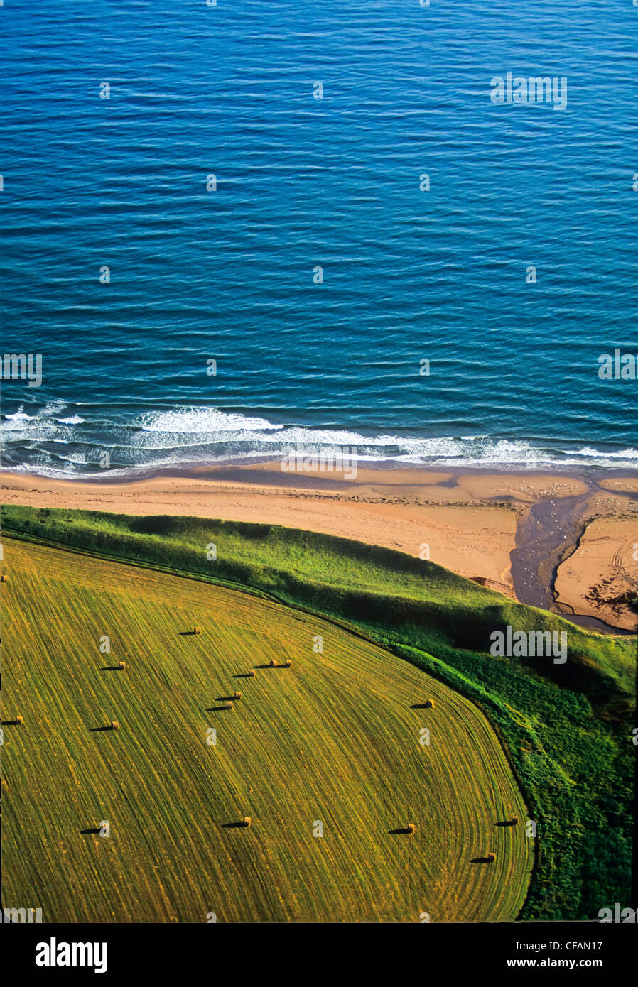 Aerial of a field of baled hay, Prince Edward Island, Canada Stock ...