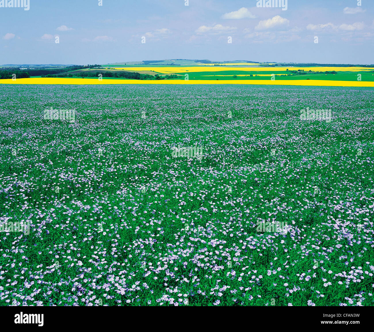 Field patterns hi-res stock photography and images - Alamy