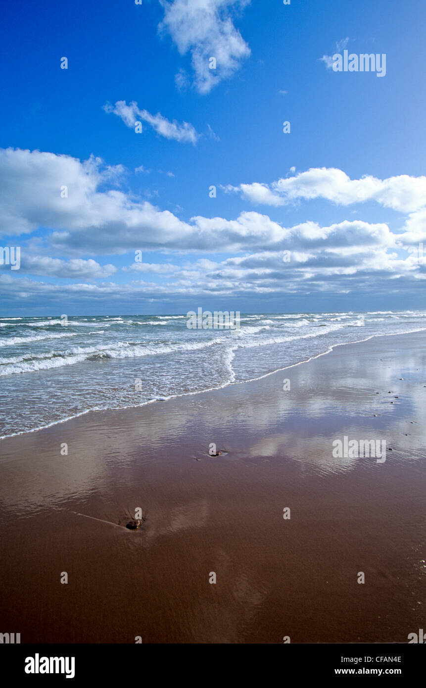 Stanhope beach prince edward island hi-res stock photography and images ...