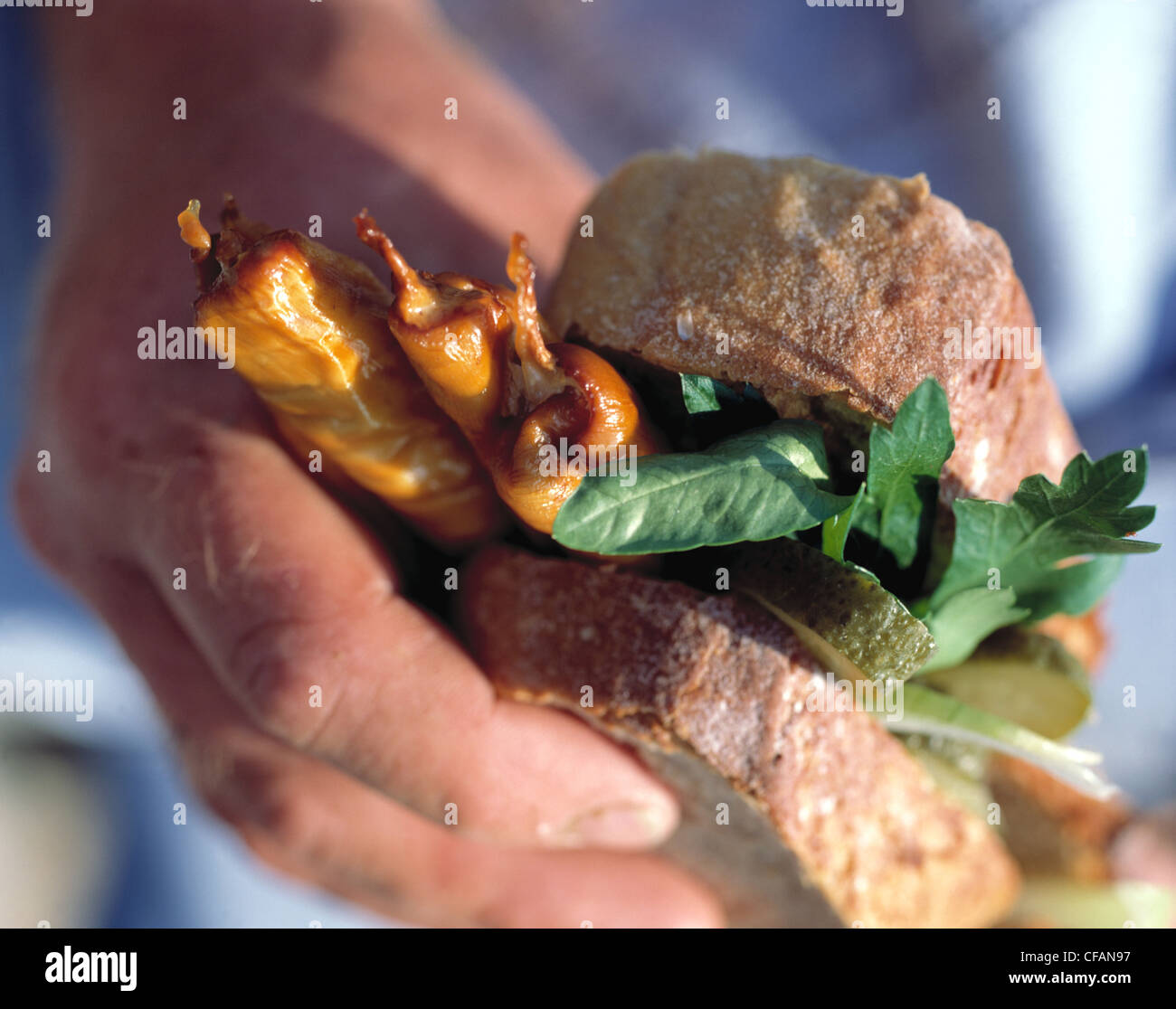 Still: hand holding slice of bread with curled cured white fish stip ...