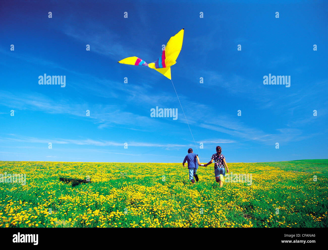 Children running with kite through field of trefoil, Winnipeg, Manitoba ...