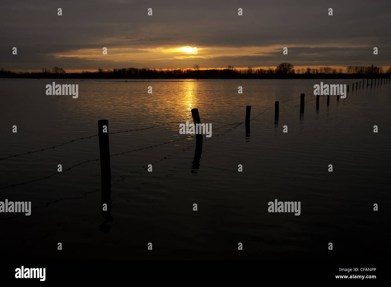 Flooded meadow at sunrise Stock Photo - Alamy