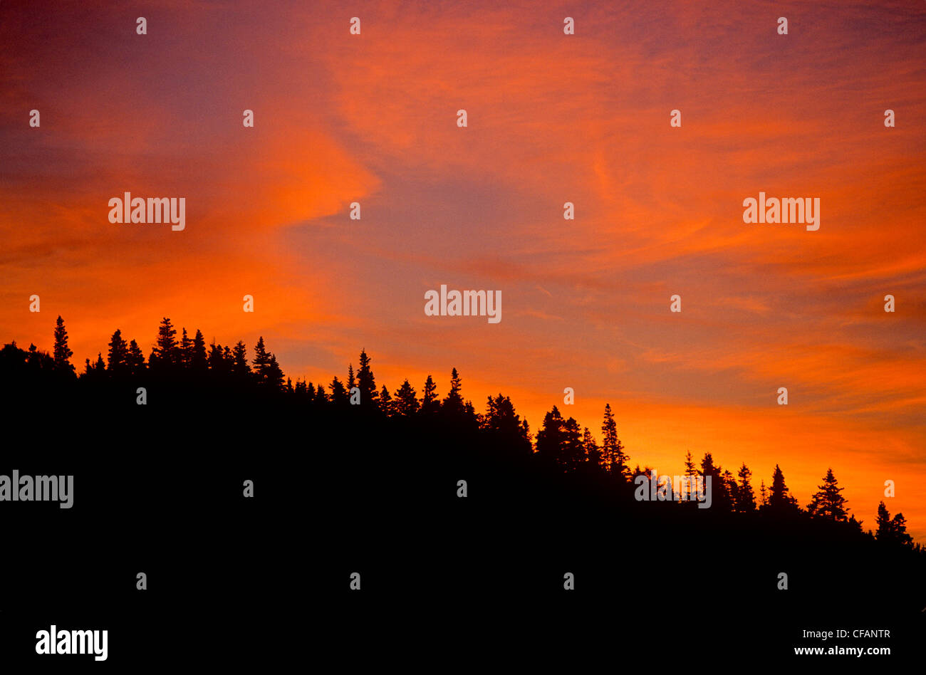Sun setting over forest hi-res stock photography and images - Alamy