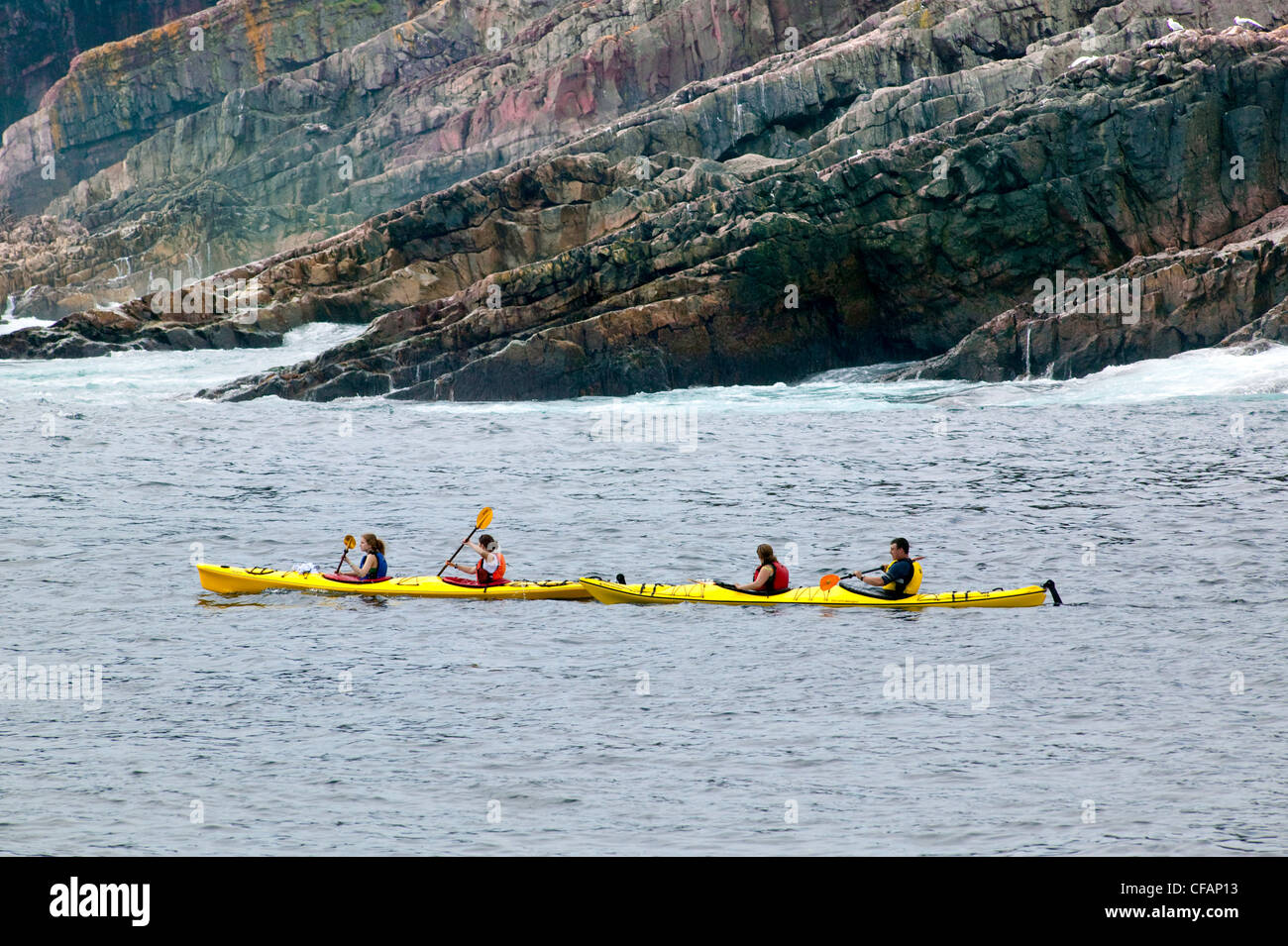 Kayaking Through Witless Bay Ecological Reserve Newfoundland And