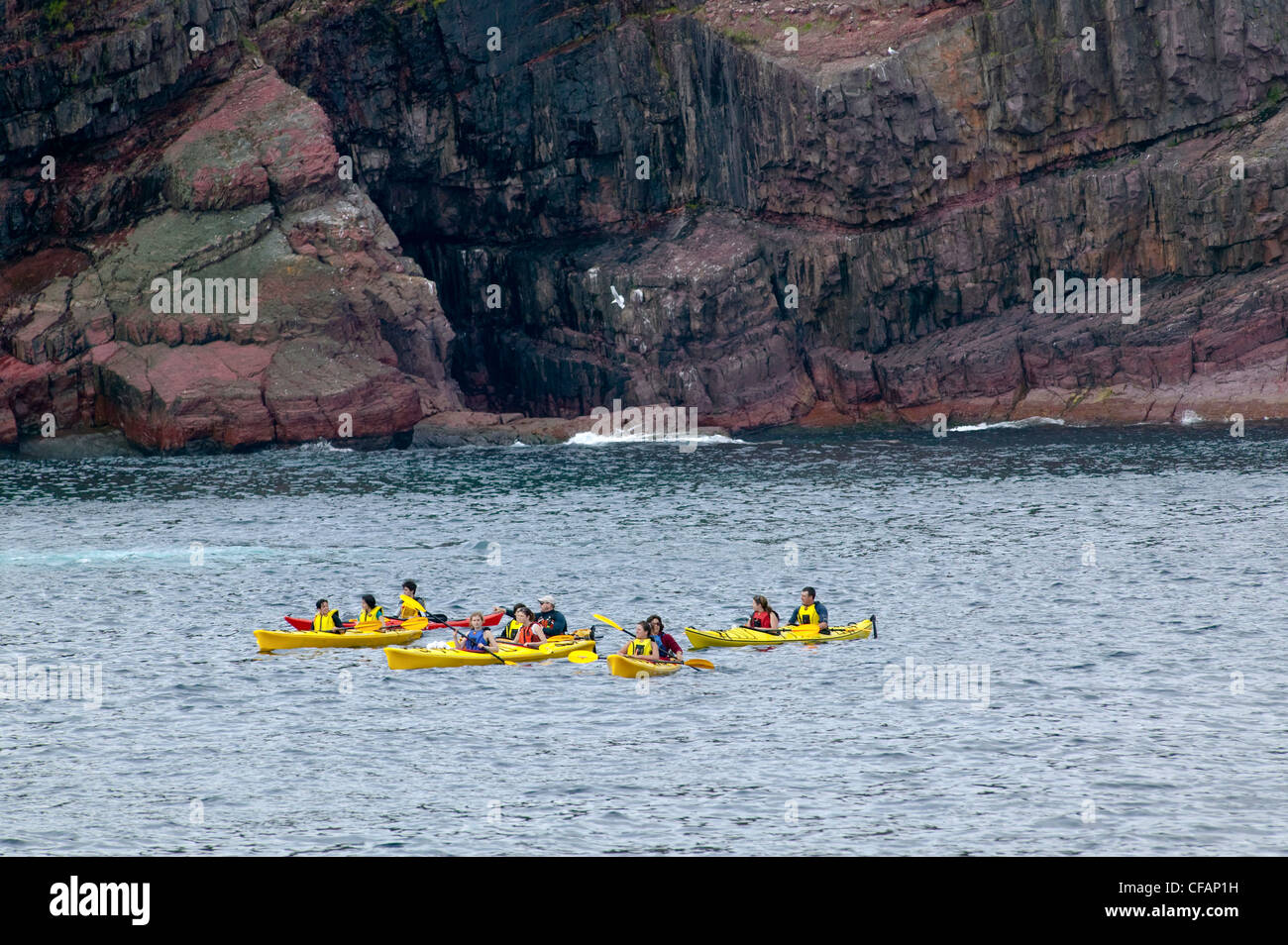 Kayaking through Witless Bay Ecological Reserve, Newfoundland and ...