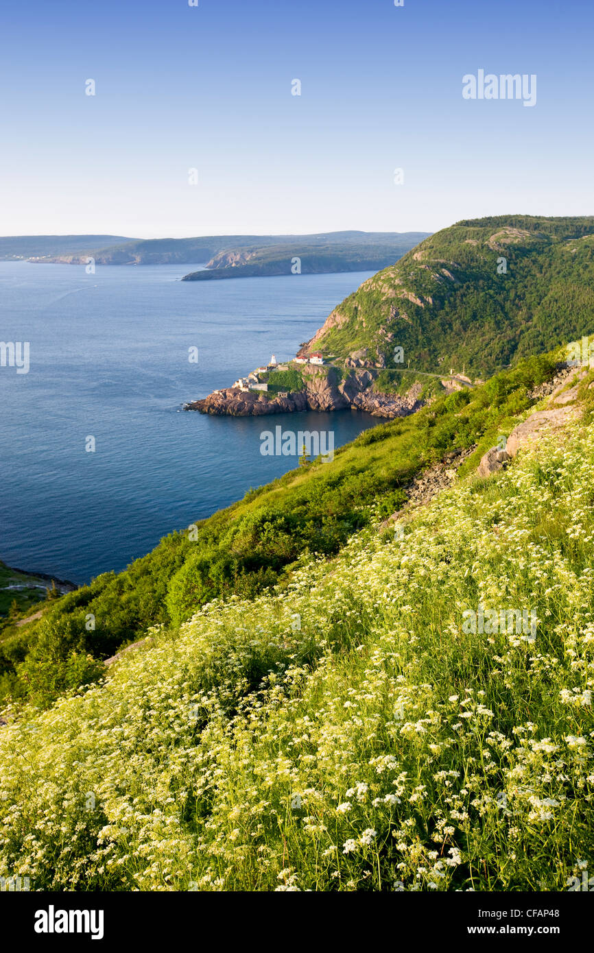 View from Signal Hill National Historic Site, St. John's, Newfoundland ...