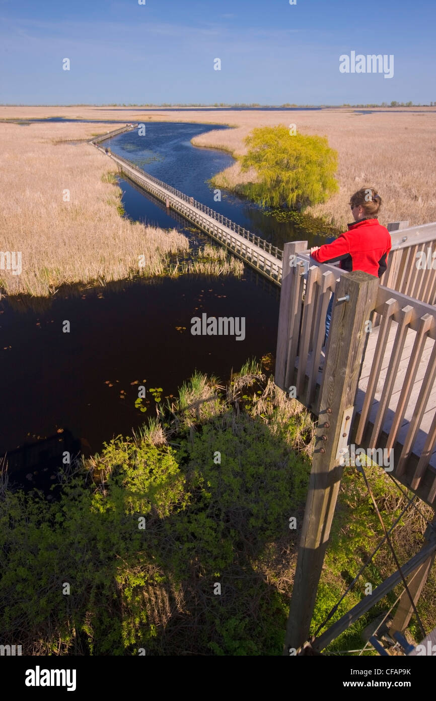 Birdwatcher destination hi-res stock photography and images - Alamy