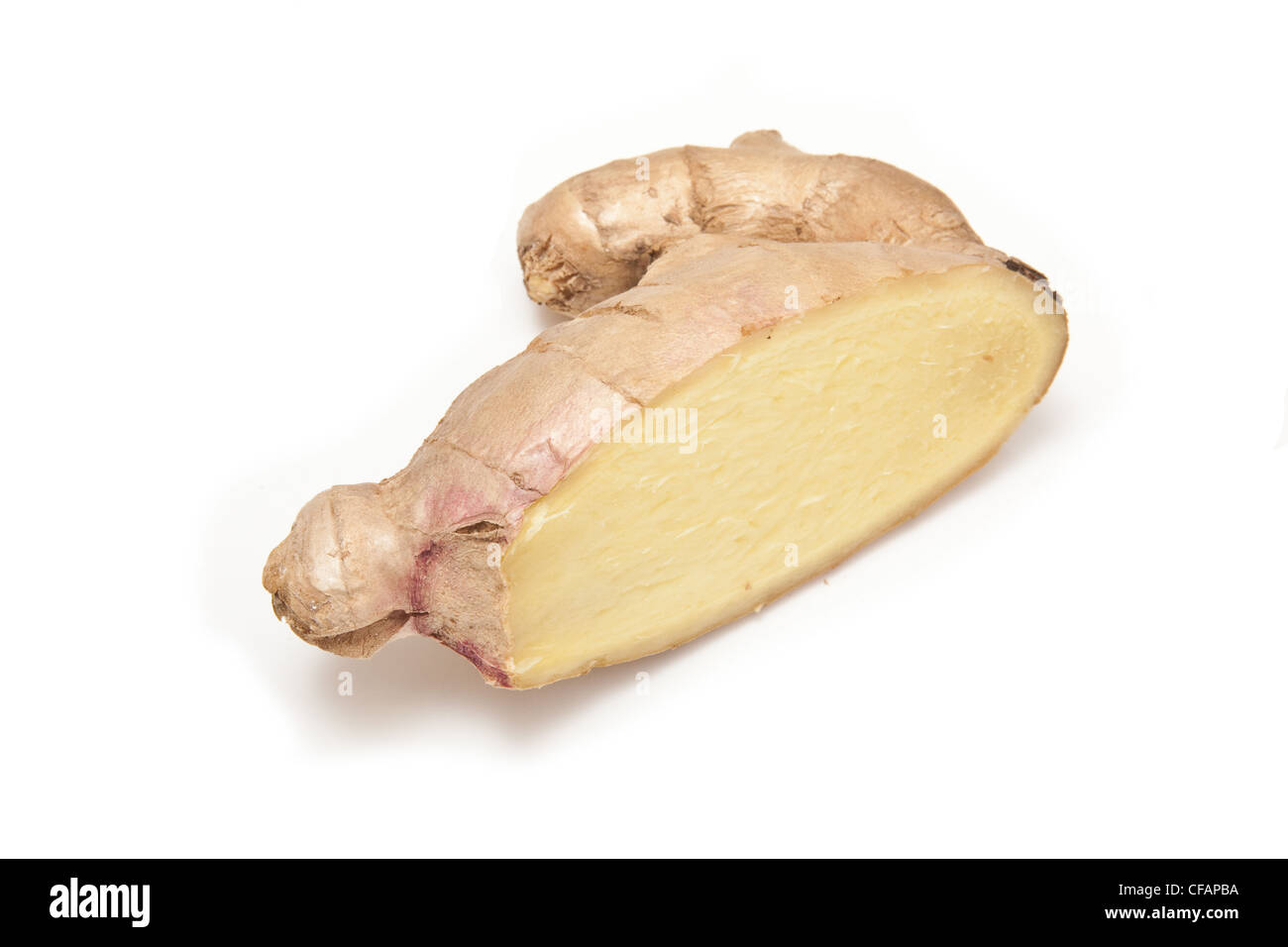 Root Ginger (Zingiber officinale) isolated on a white studio background ...