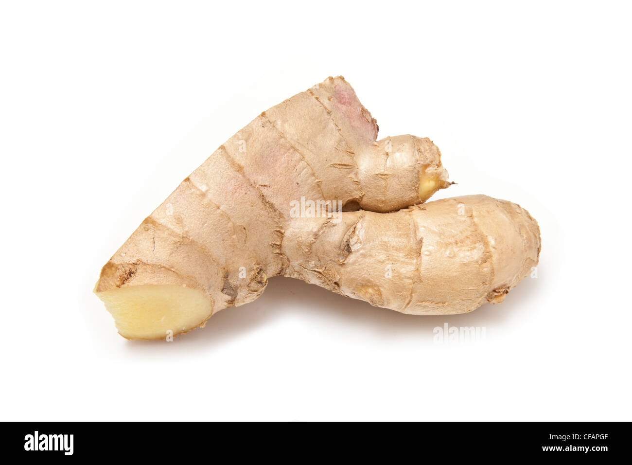 Root Ginger (Zingiber officinale) isolated on a white studio background ...