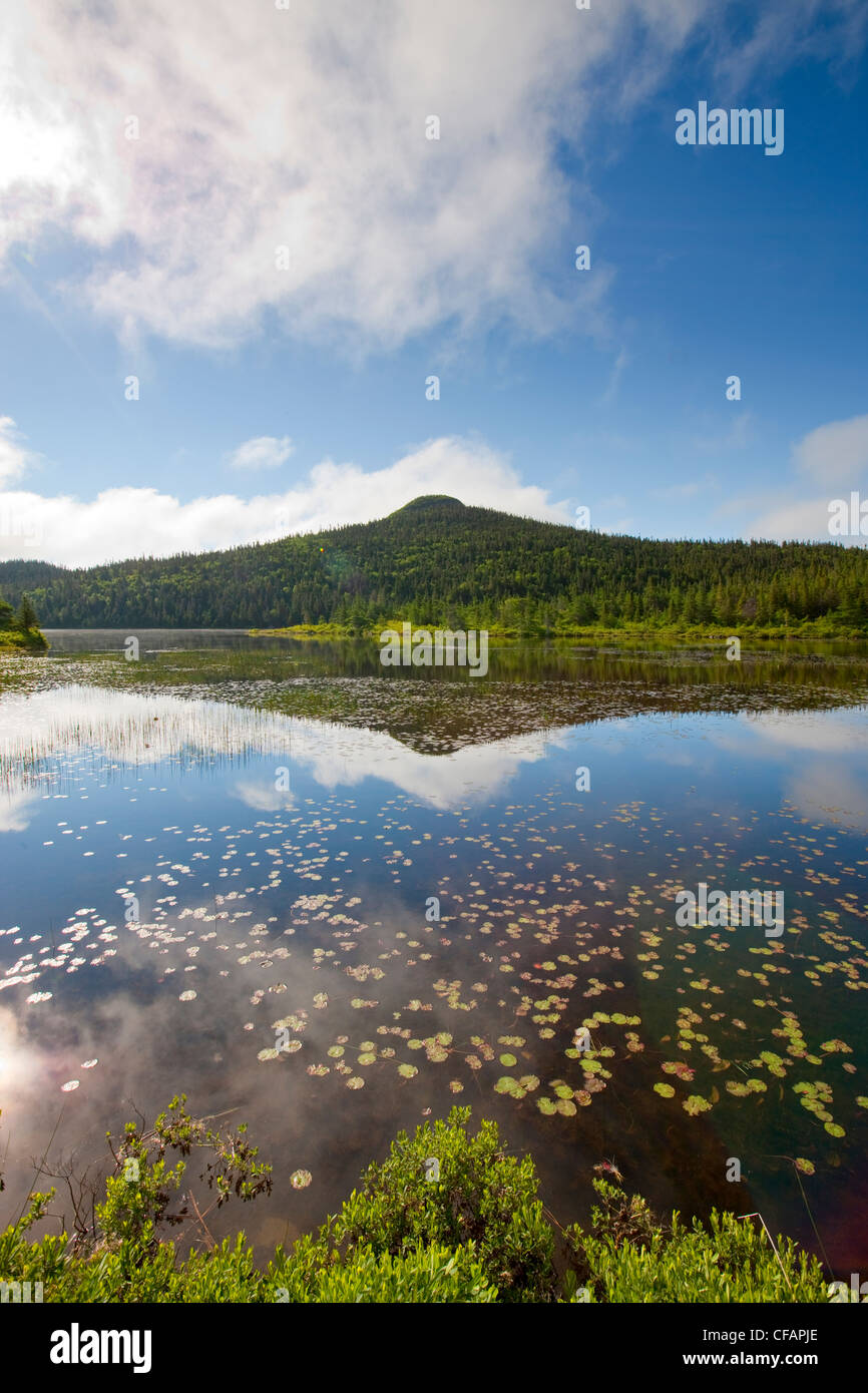 Pond in spring time near Colbert's Cove, Newfoundland and Labrador ...