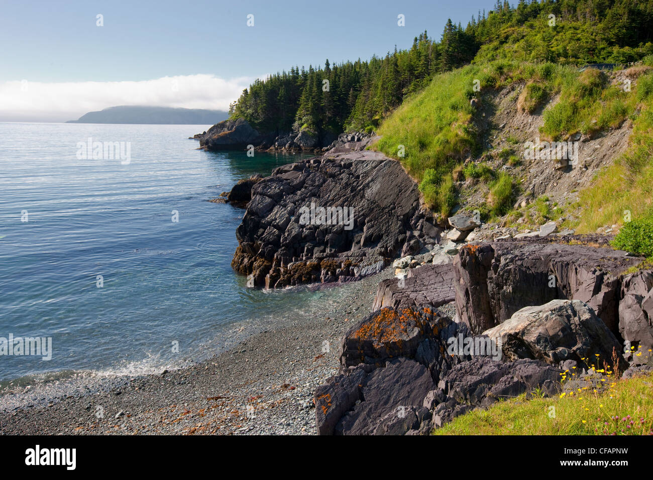 Admiral's Cove coastline, Newfoundland and Labrador, Canada Stock Photo ...