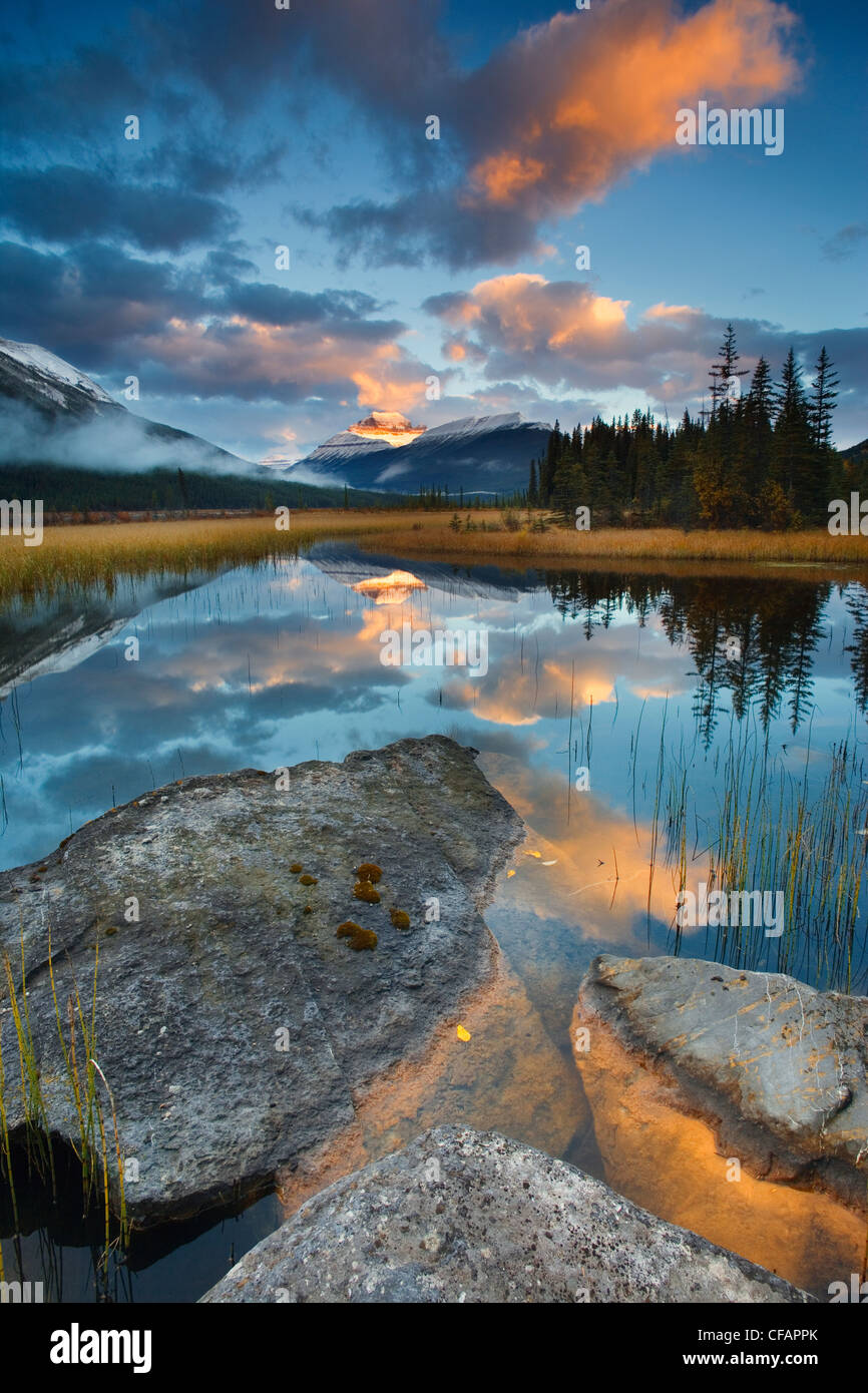 Scenic with water reflections of Rampart Ponds and Mount Athabasca ...
