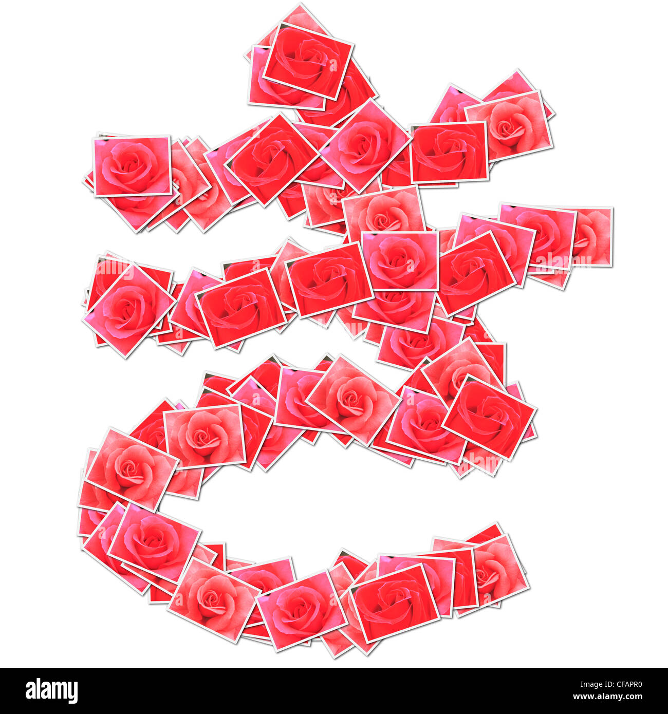 agricultural agriculture bloom blossom blue brassica canola clear cloud ...