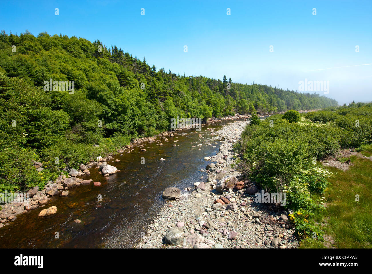 Rivers of labrador hi-res stock photography and images - Alamy