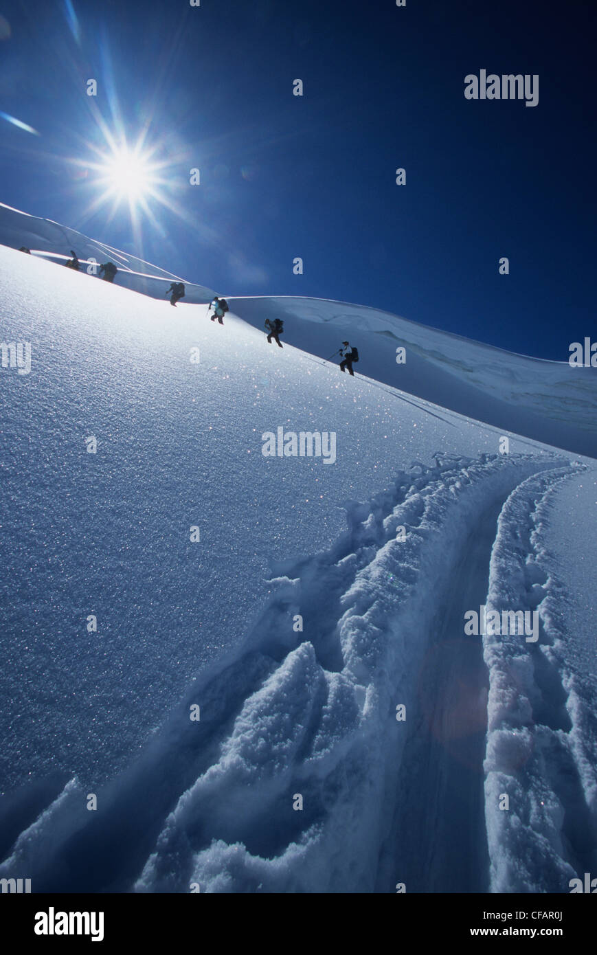 A group of skiers skinning up the Durrand Glacier, British Columbia ...