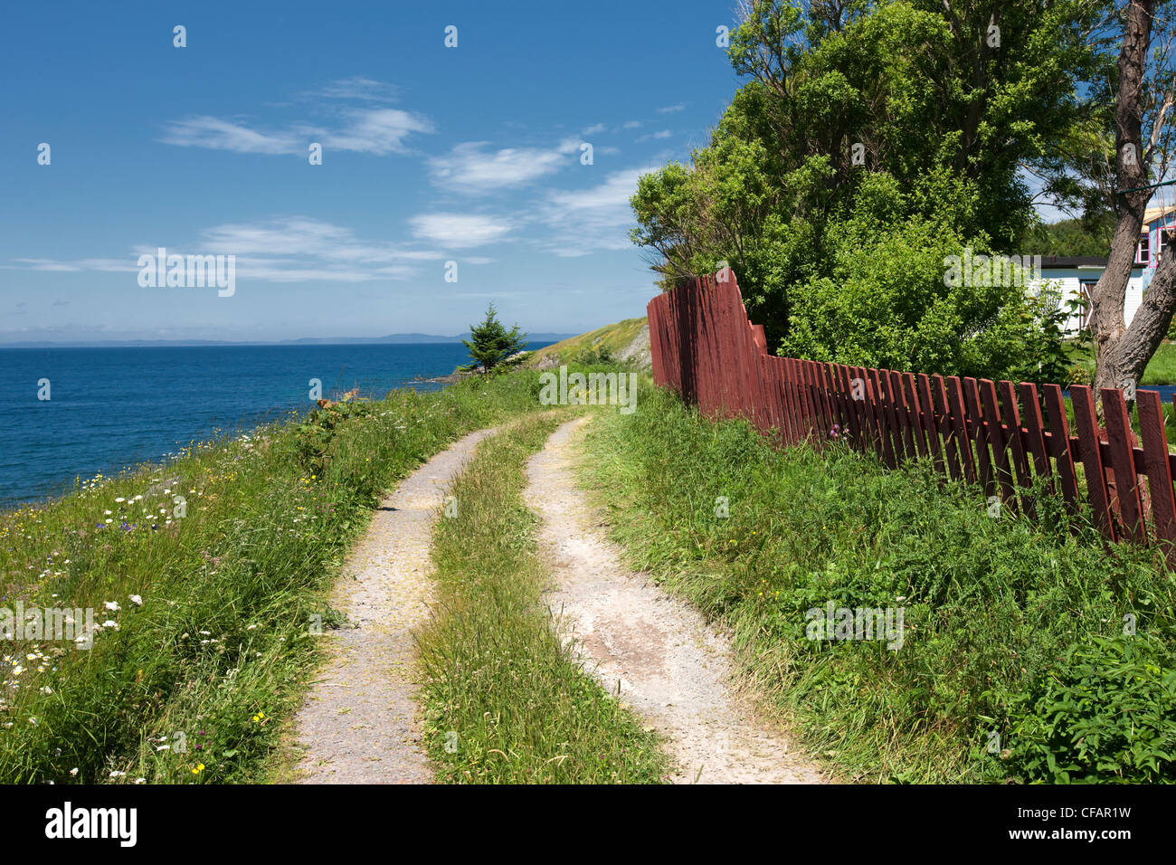 New perlican hi-res stock photography and images - Alamy