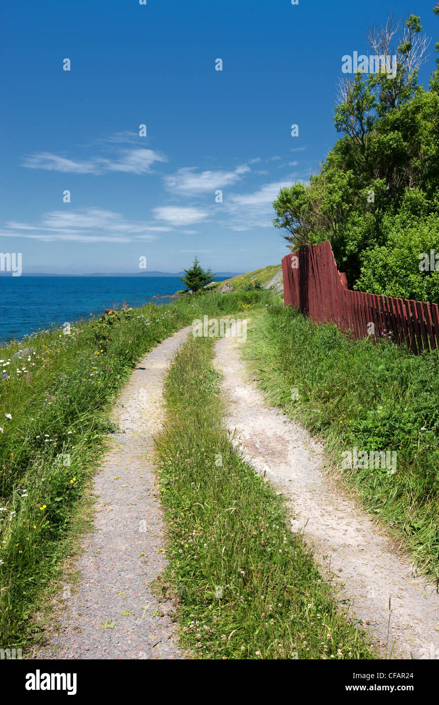 New perlican hi-res stock photography and images - Alamy