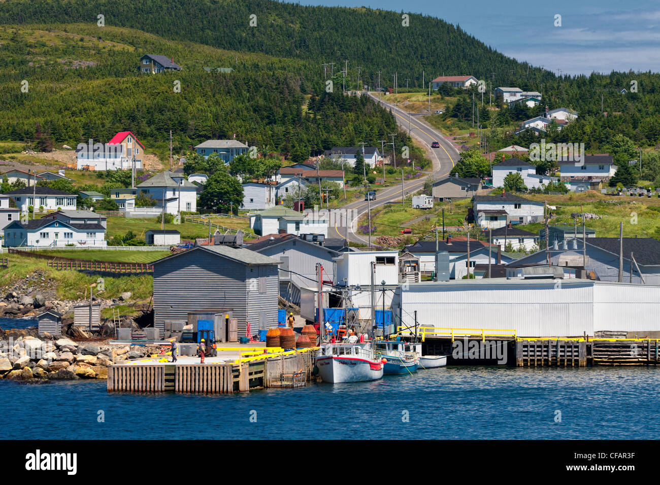 Fishing boats tied up at the wharf in Winterton, Newfoundland and ...