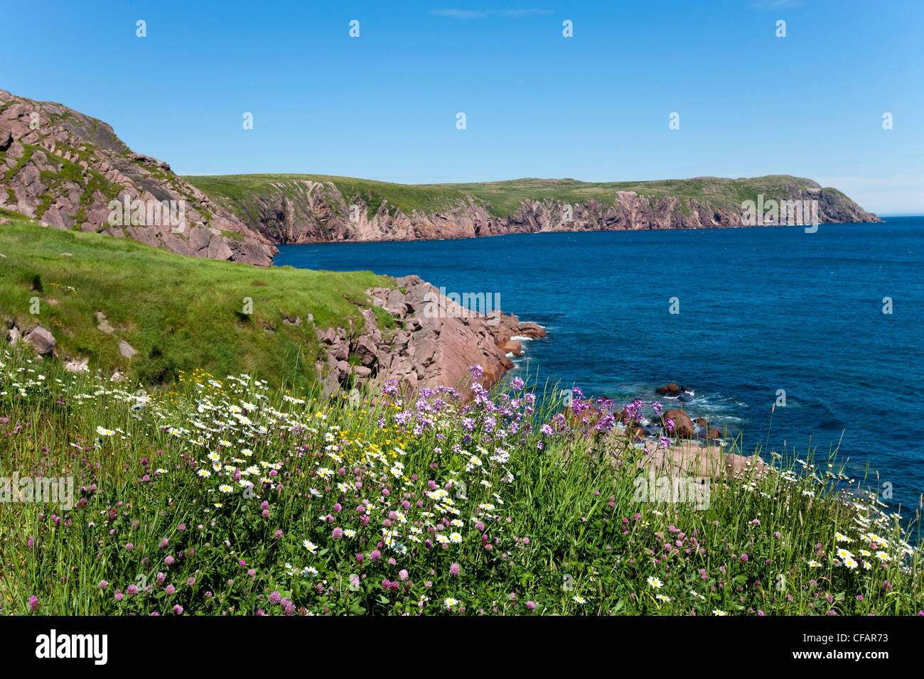 Coastline of Bay de Verde, Newfoundland and Labrador, Canada Stock ...