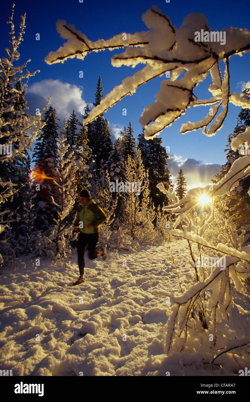A young female runner enjoying a winter morning run in Banff National ...