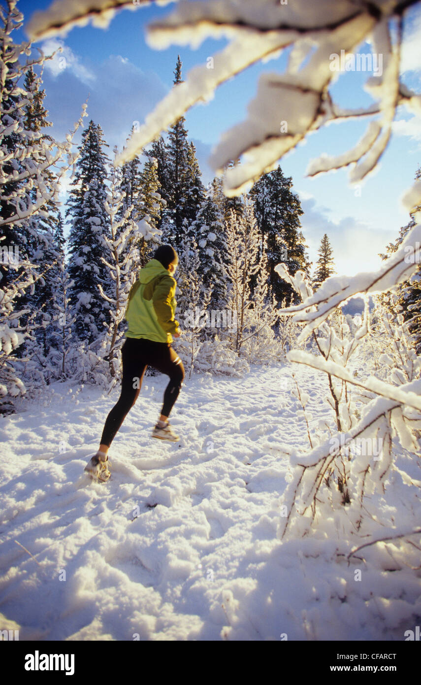 A young female runner enjoying a winter morning run in Banff National ...