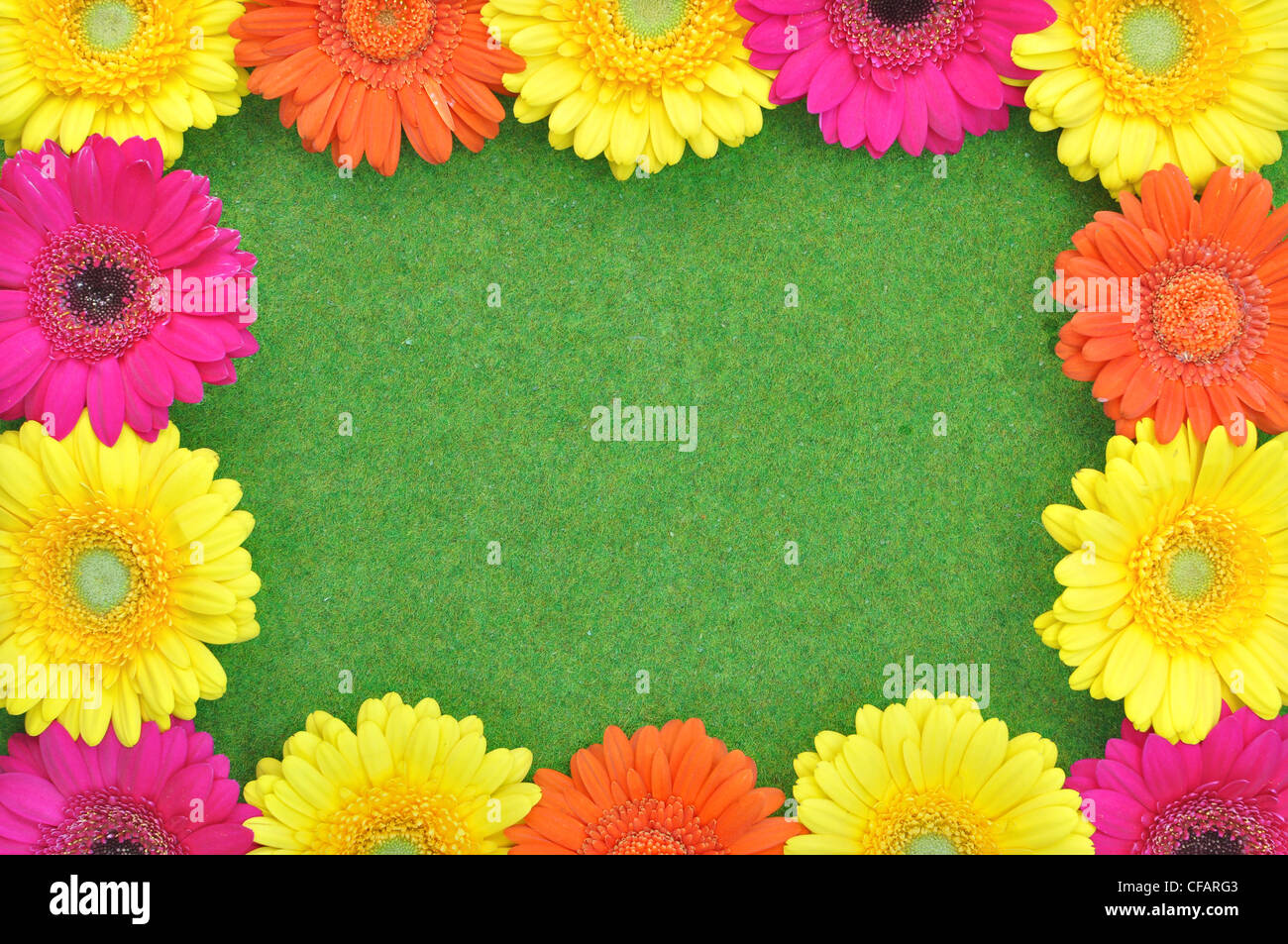 Spring flowers different types hi-res stock photography and images - Alamy