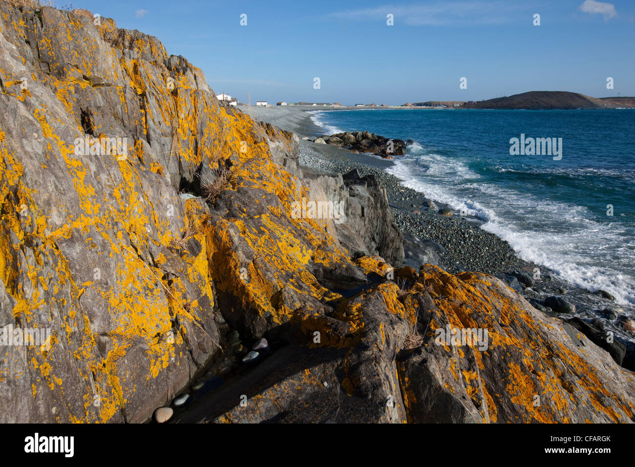 Lichen covered rocky coastline with beach in background, Ferryland ...