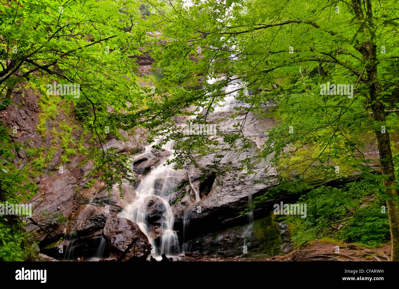 Black Brook waterfall in Highlands National Park, Cape Breton, Nova ...