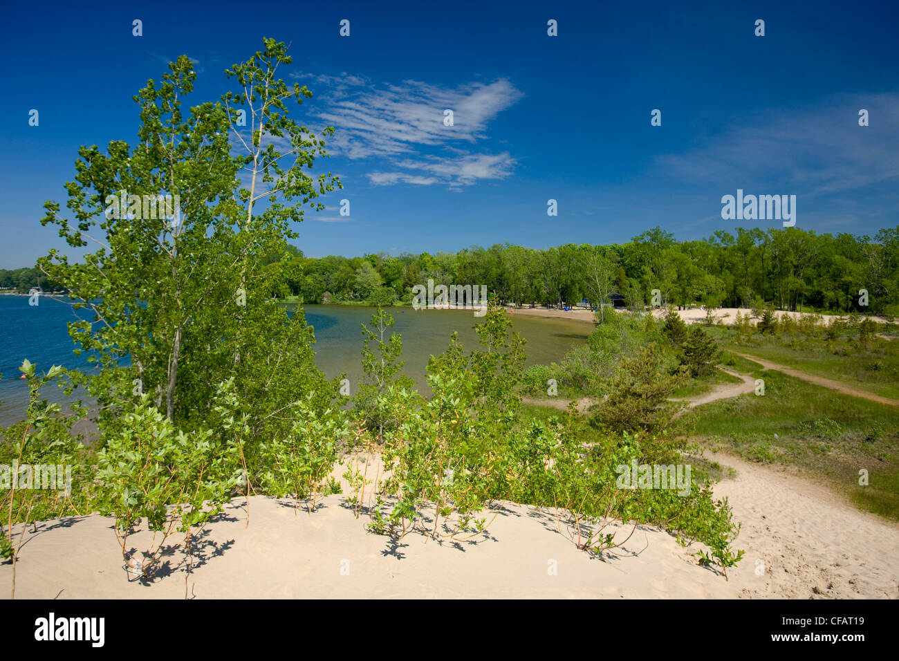 Sandy beach of Lake Ontario in Sandbanks Provincial Park, Prince Edward ...