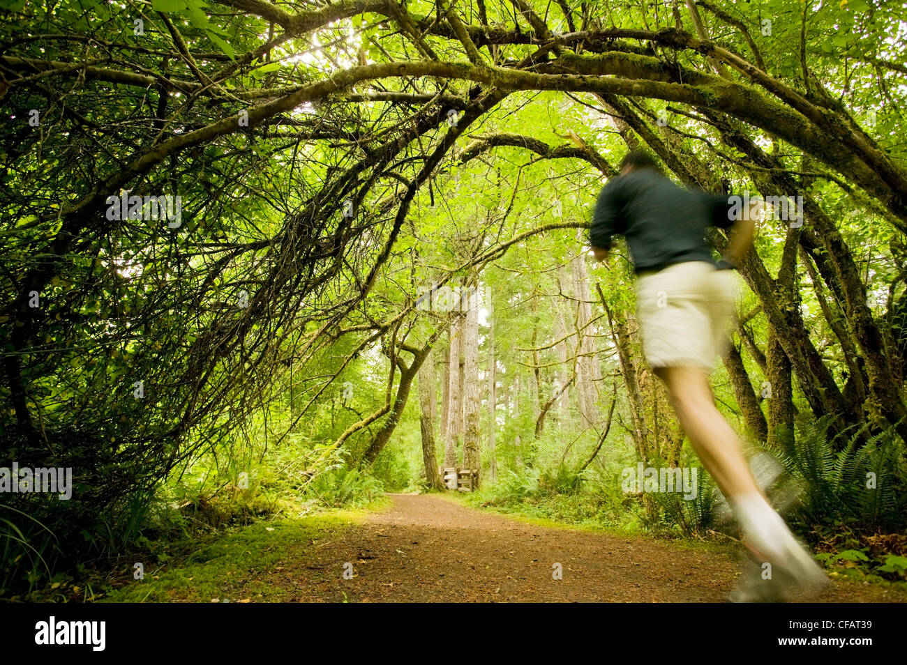 Running along trails among old growth trees and lush rainforests ...