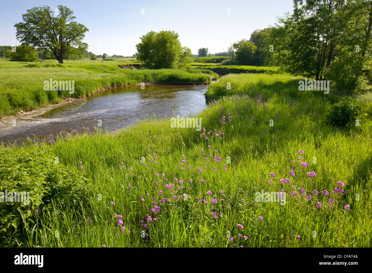 Stirling ontario canada hi-res stock photography and images - Alamy