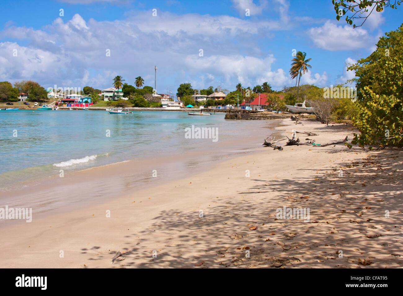 Buccoo hi-res stock photography and images - Alamy