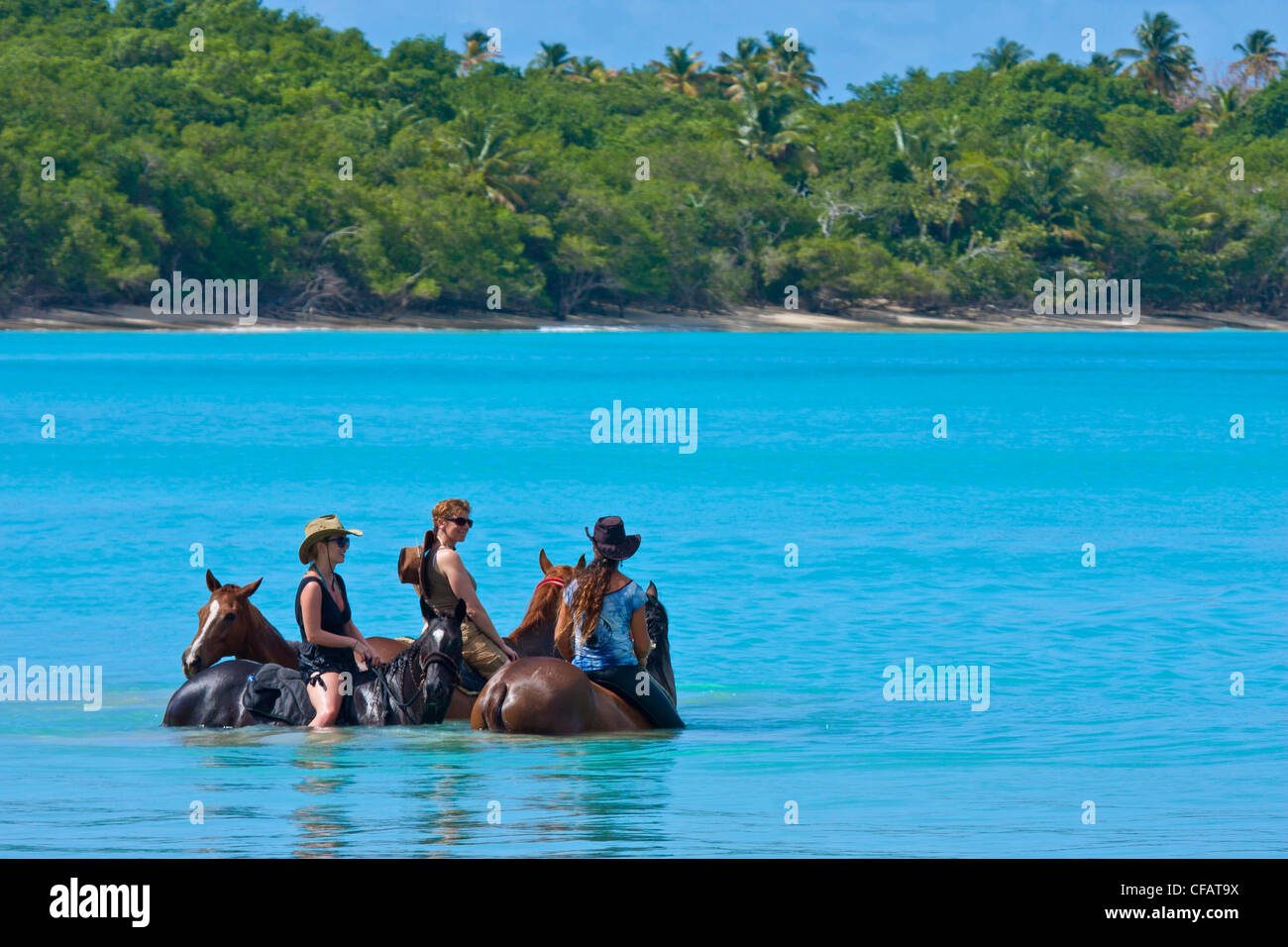 View of Buccoo Bay, Tobago with horse-riders in sea Stock Photo - Alamy