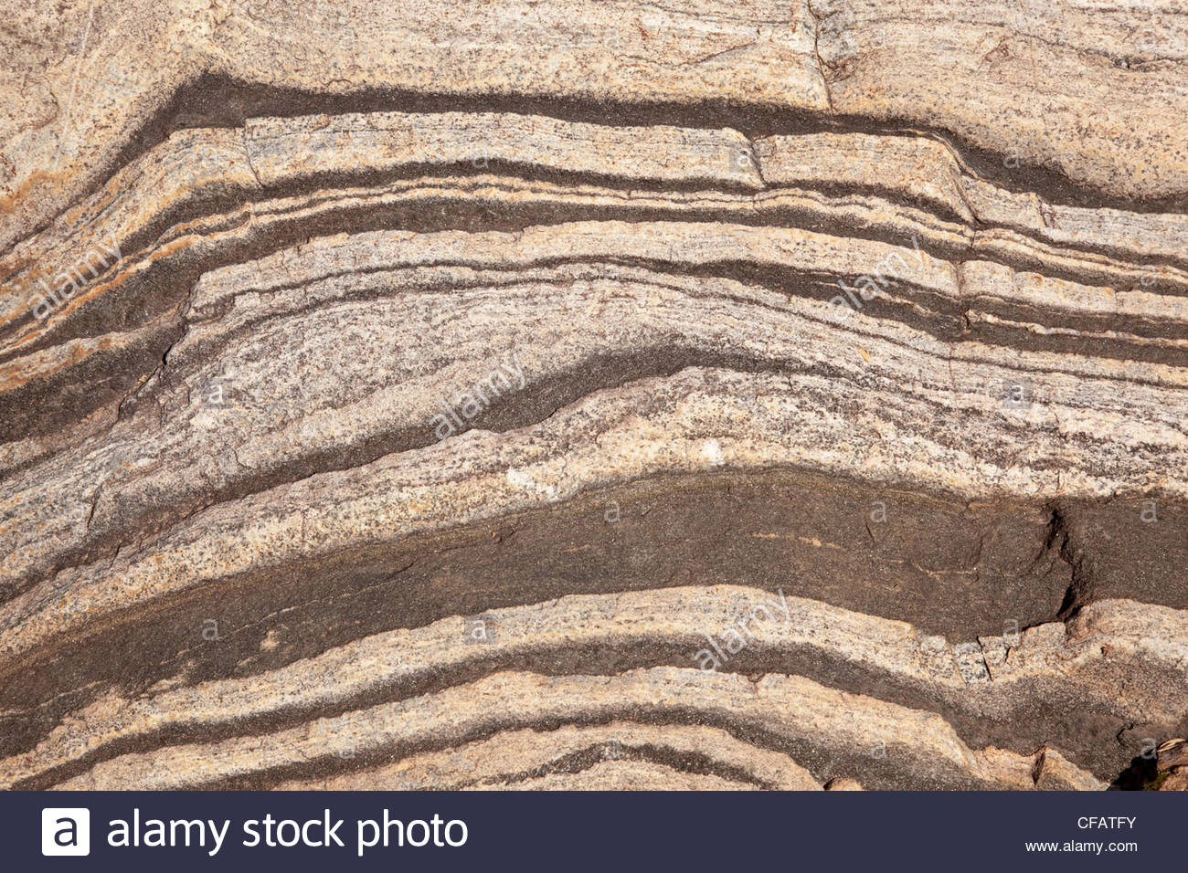 Banded Stock Photos & Banded Stock Images - Alamy