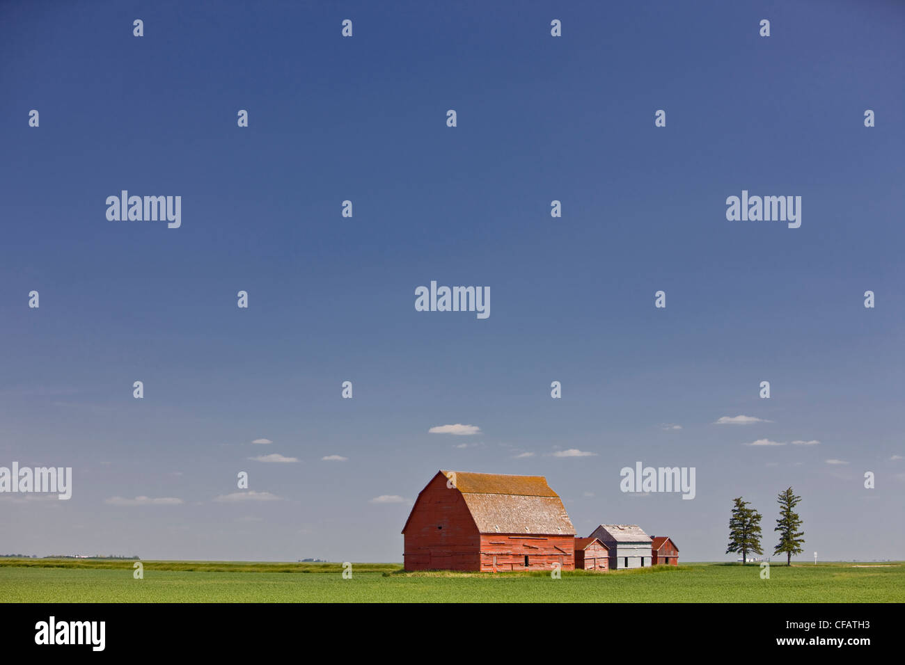 Flat pastures hi-res stock photography and images - Alamy